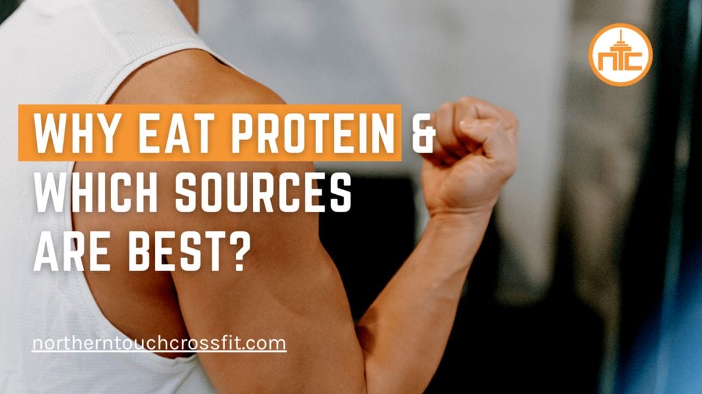 The Benefits of Protein For Fat Loss - Northern Touch CrossFit